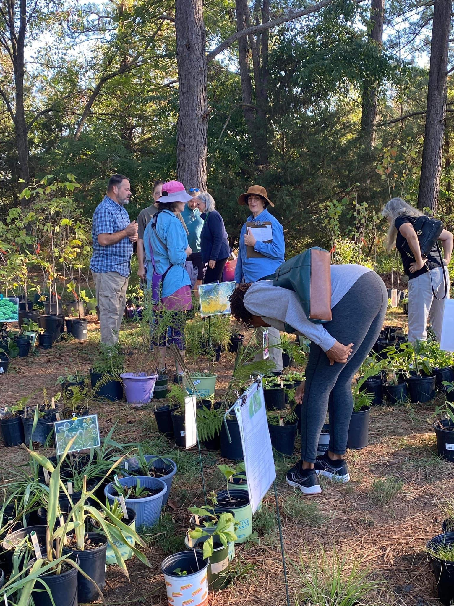 Plant Sales – MGPW.ORG
